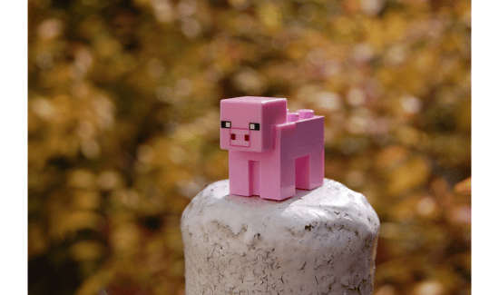 Step-by-Step Guide: How to Set Up a Multiplayer Minecraft Server